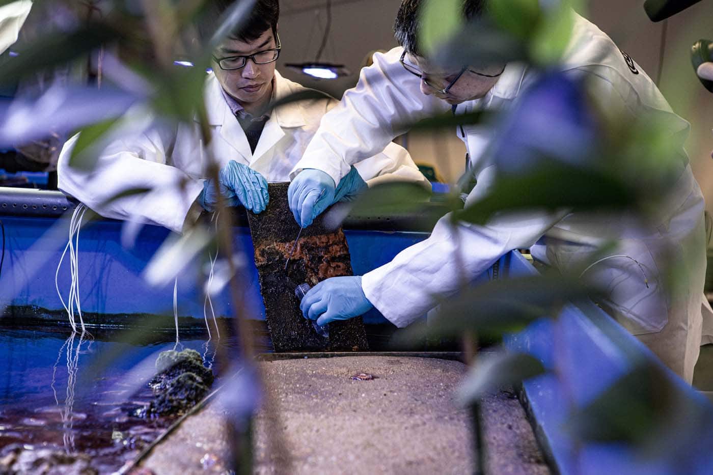 Applied Science - CORROSION